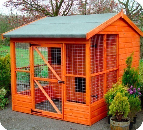 Tyson's Cell Kennel and Run 8'x6' - Taylors Garden Buildings