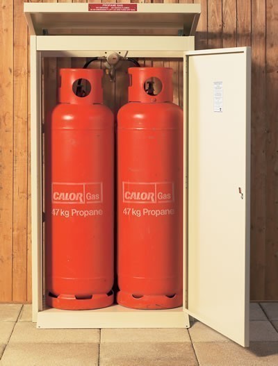 ASGAS 94 Metal Gas Storage Unit (2 x 47kg Bottles) - Taylors Garden ...